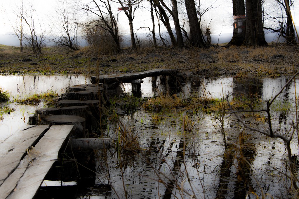 Mlastina Harman 3 – Life for Marsh