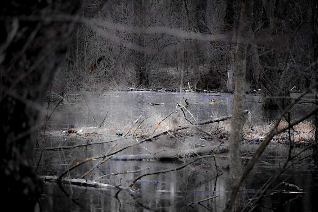 Mlastina Harman 3 – Life for Marsh